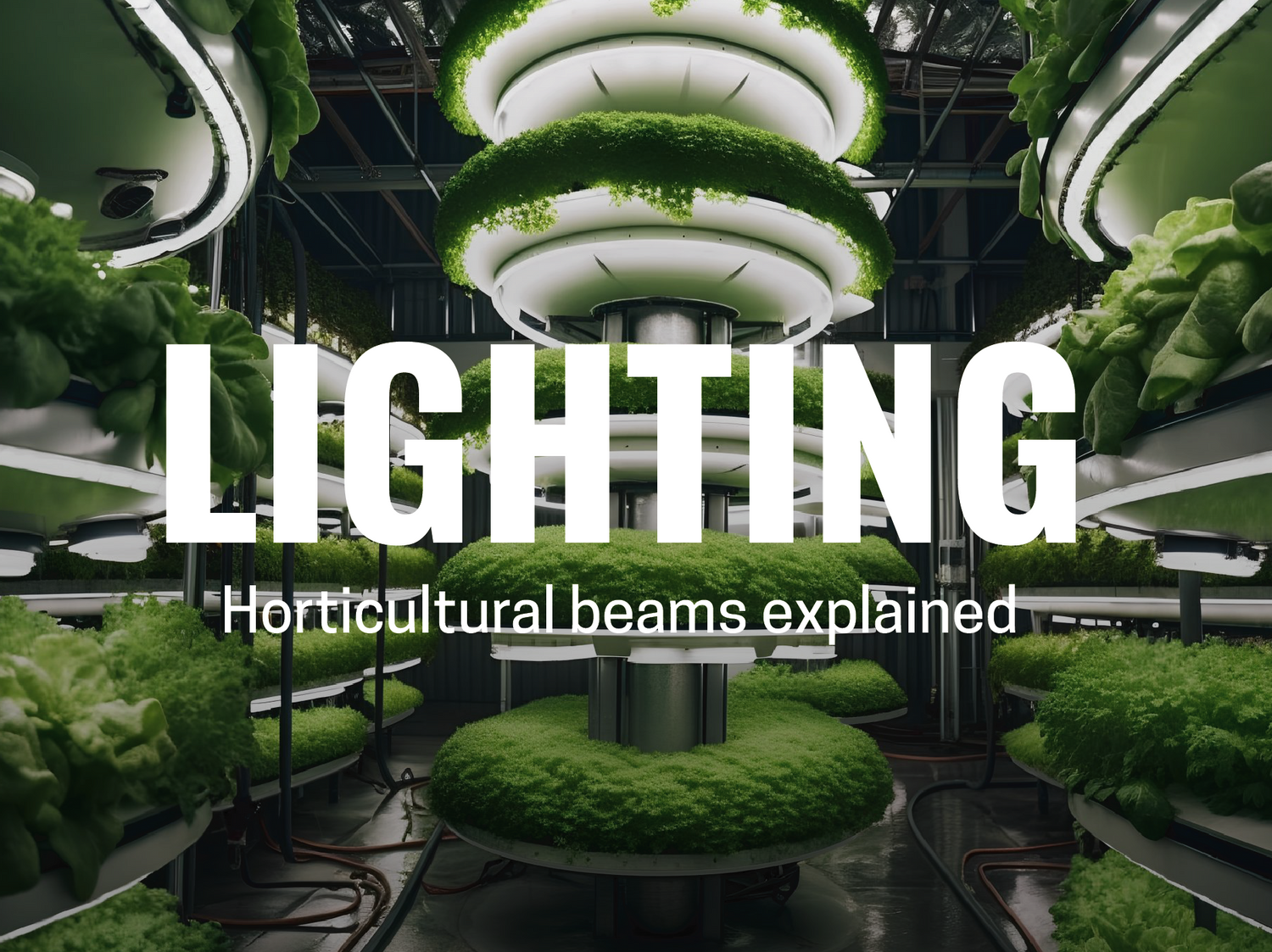 Understanding Horticultural Lighting: Shedding Light on Plant Growth ...